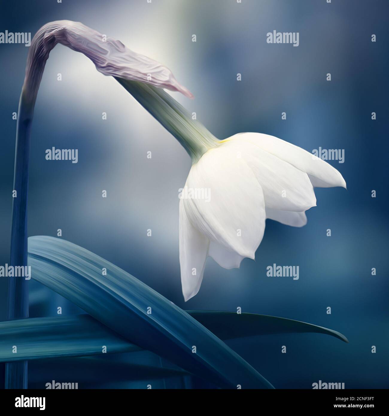Abstract spring background hi-res stock photography and images - Alamy