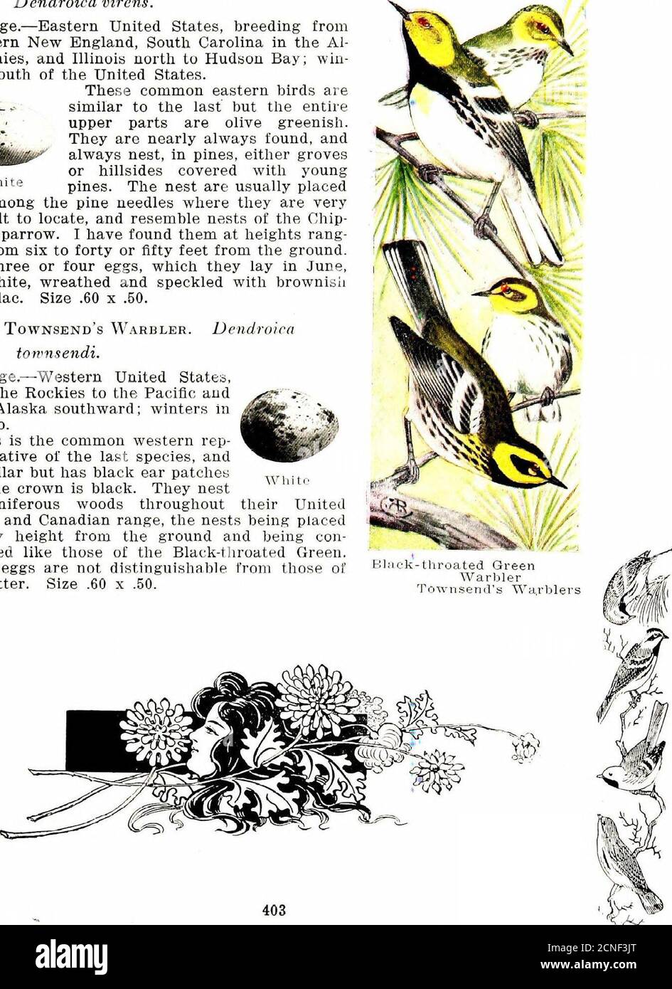 . The bird book, illustrating in natural colors more than seven hundred ...