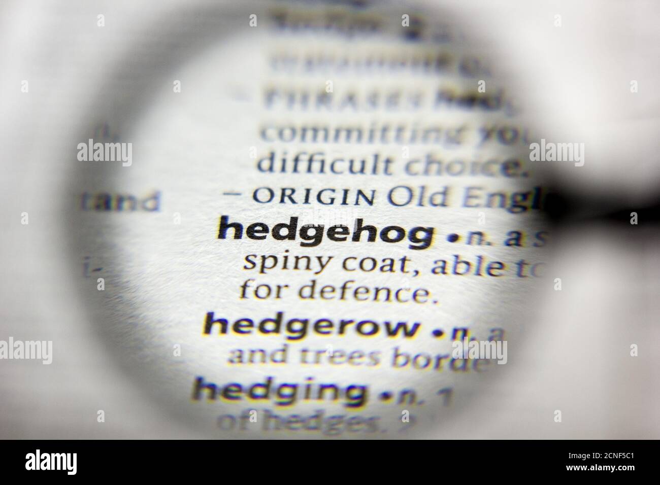 Word hedgehog hi-res stock photography and images - Alamy