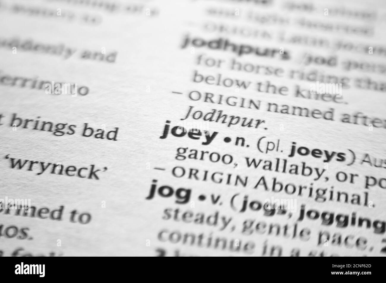 Joey page Black and White Stock Photos & Images - Alamy