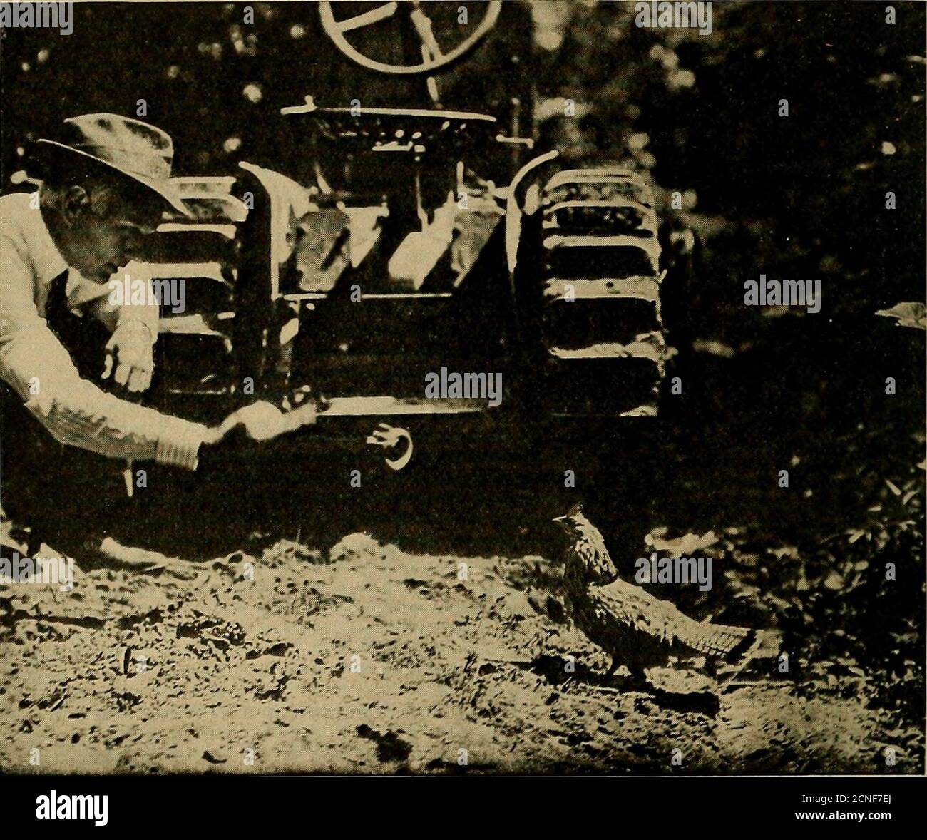 Four bird infantry hi-res stock photography and images - Alamy