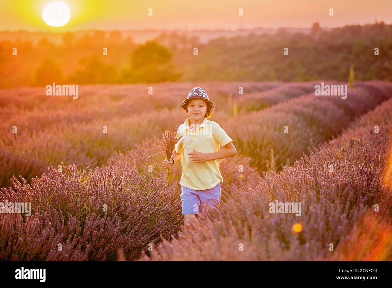 Cute little child, beautiful boy, playing in lavender field on sunset ...
