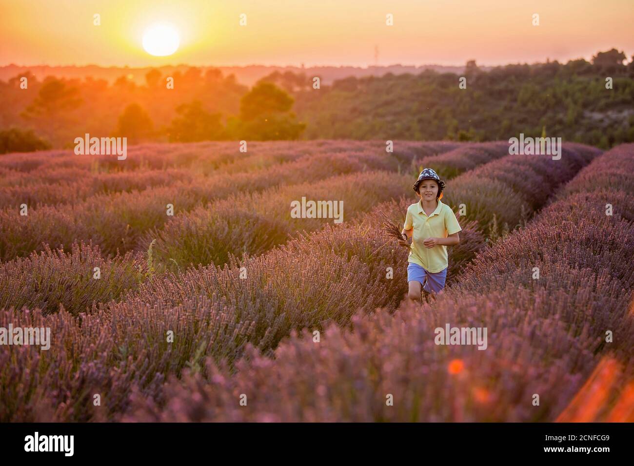 Cute little child, beautiful boy, playing in lavender field on sunset ...