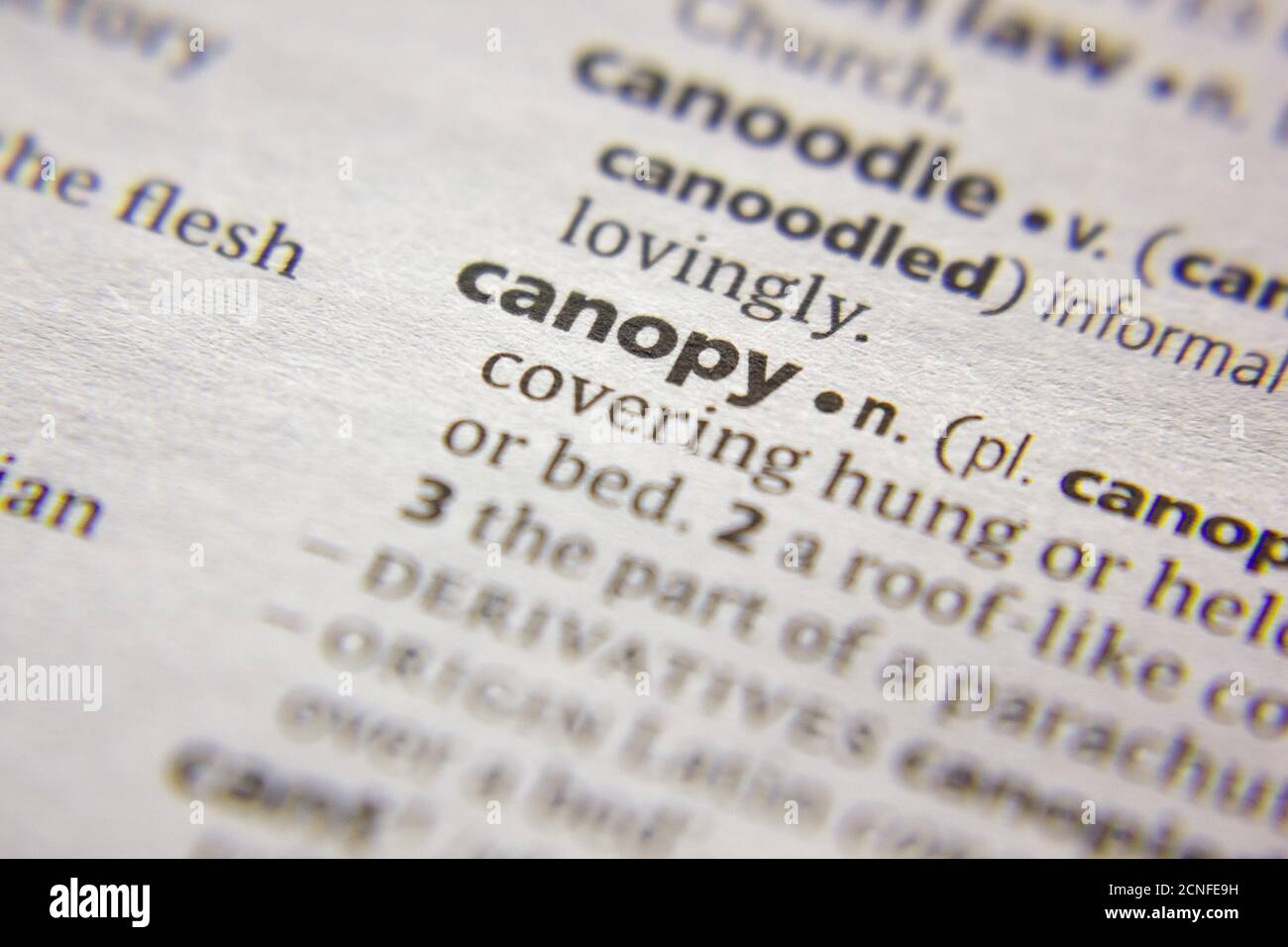 Word or phrase Canopy in a dictionary Stock Photo - Alamy