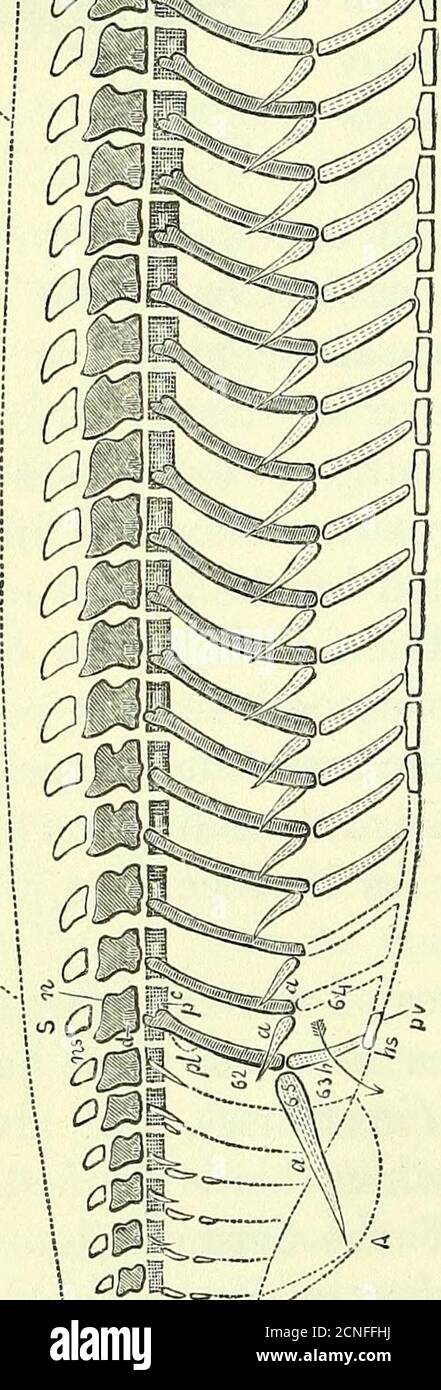 Mnnal hi-res stock photography and images - Alamy