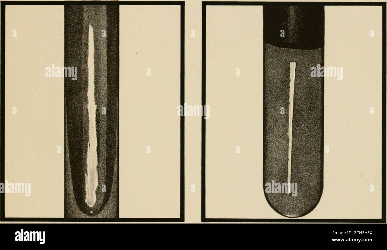 . The etiology and pathology of grouse disease, fowl enteritis, and ...