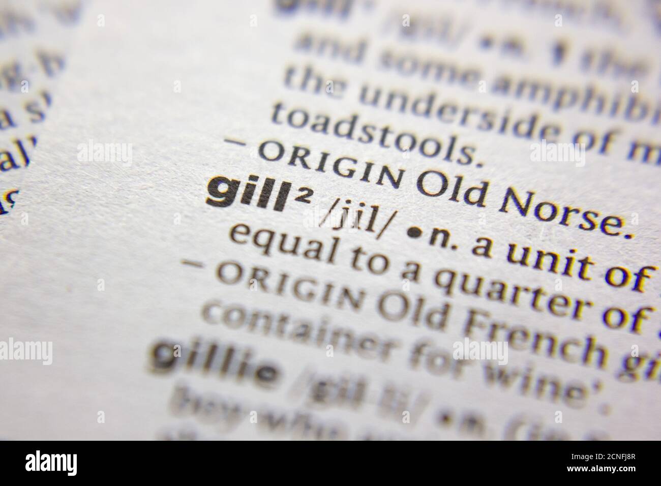 Word or phrase Gill in a dictionary Stock Photo - Alamy