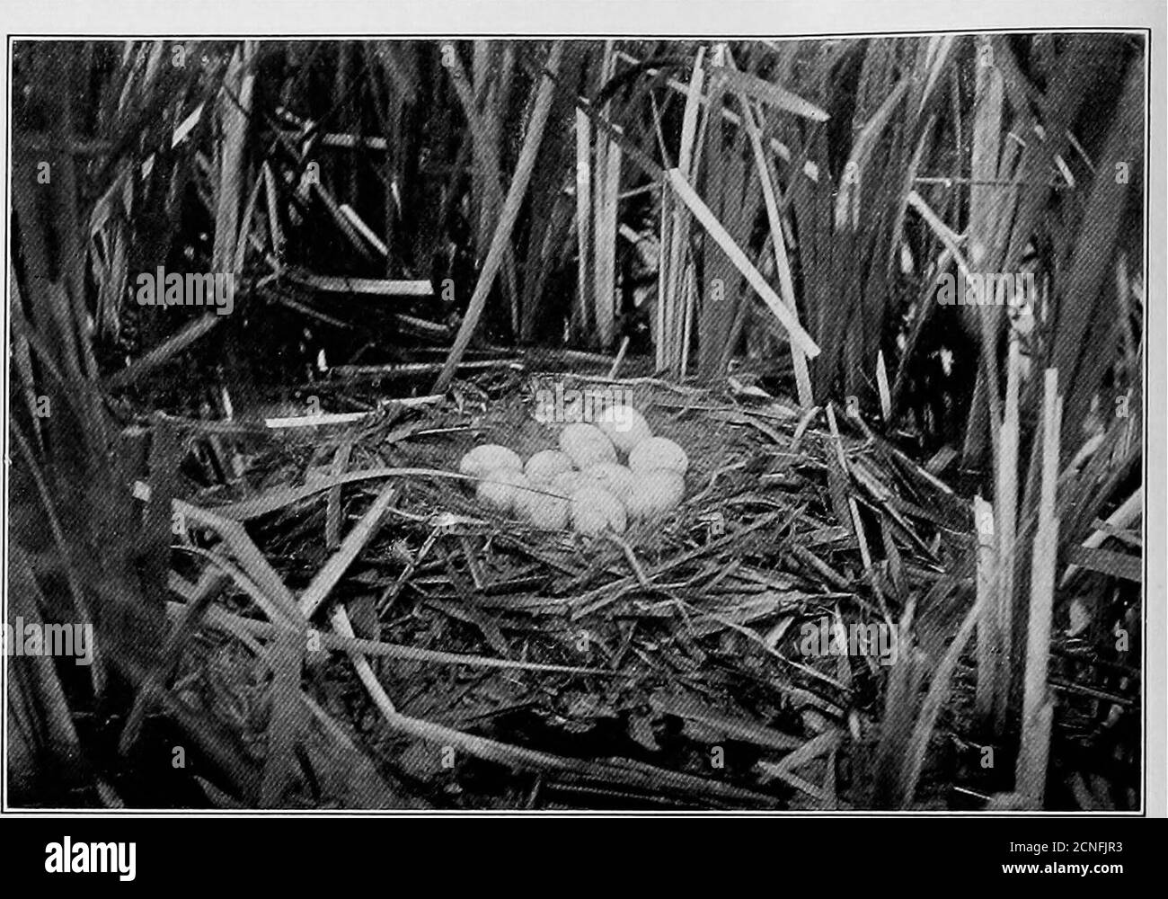 Place of tules hi-res stock photography and images - Alamy