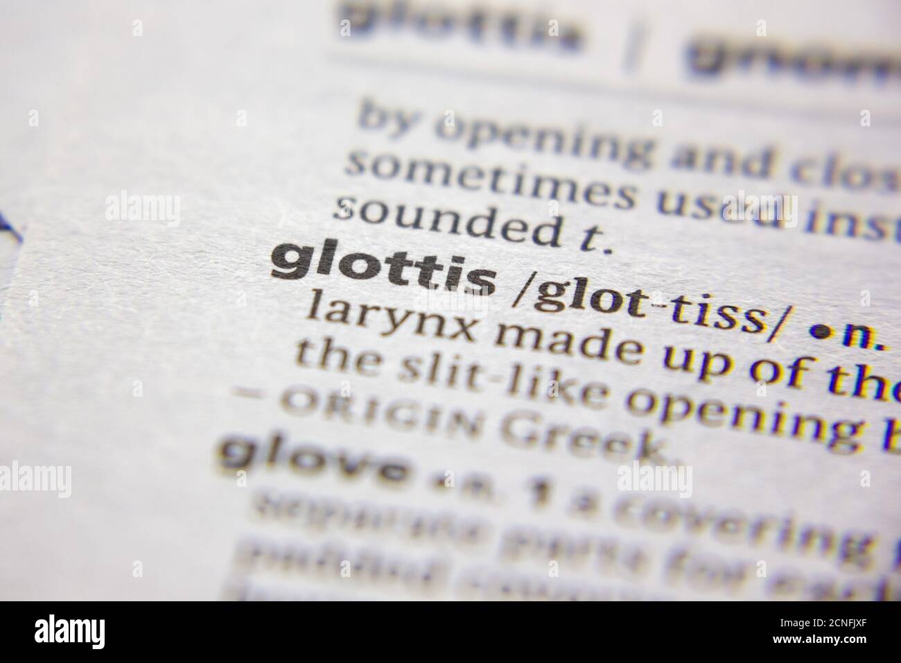 Glottis hi-res stock photography and images - Alamy