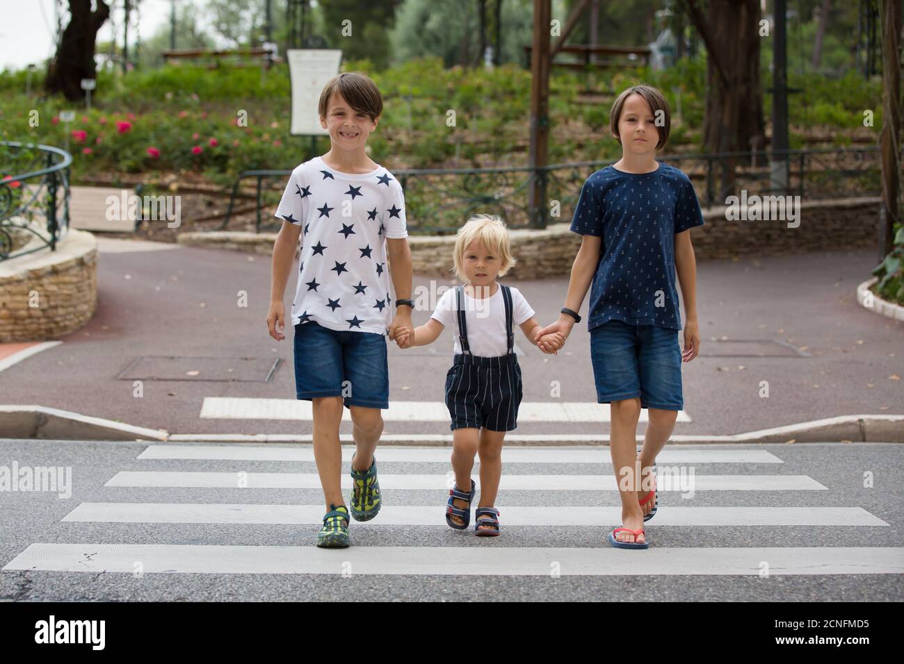 Children, boy brothers, siblings holding hands and crossing crosswalk ...