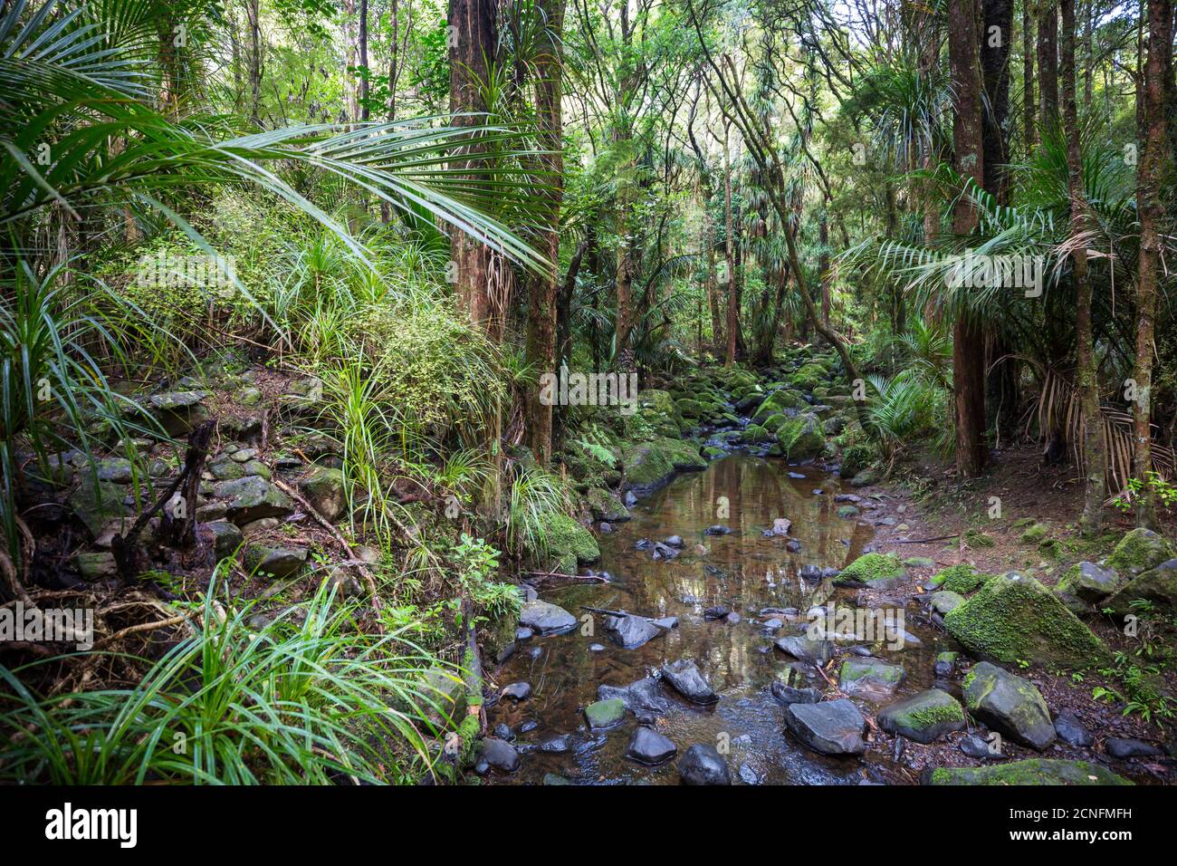 New Zealand river Stock Photo - Alamy