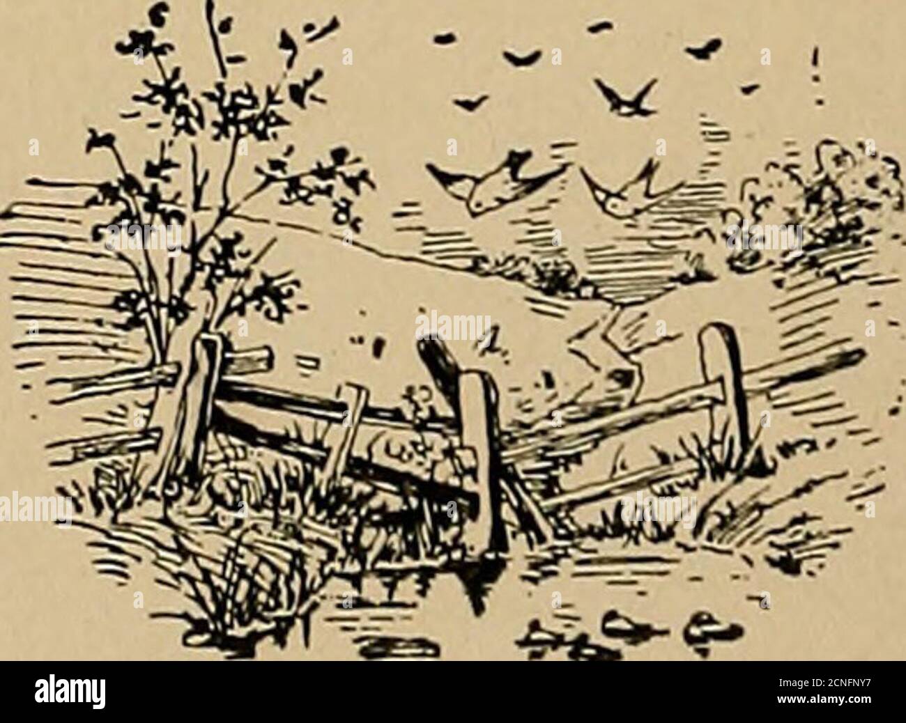 Edward parsons smith hi-res stock photography and images - Alamy