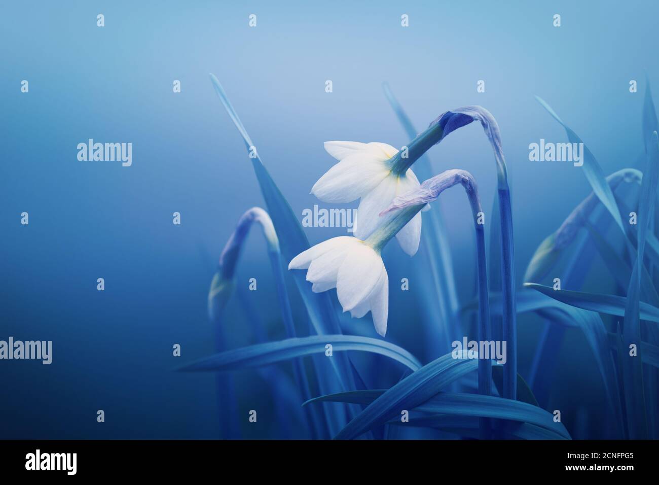 Spring season abstract hi-res stock photography and images - Alamy