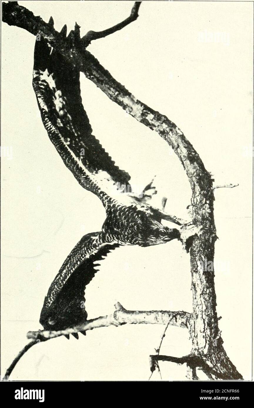 Form follows function hi-res stock photography and images - Alamy