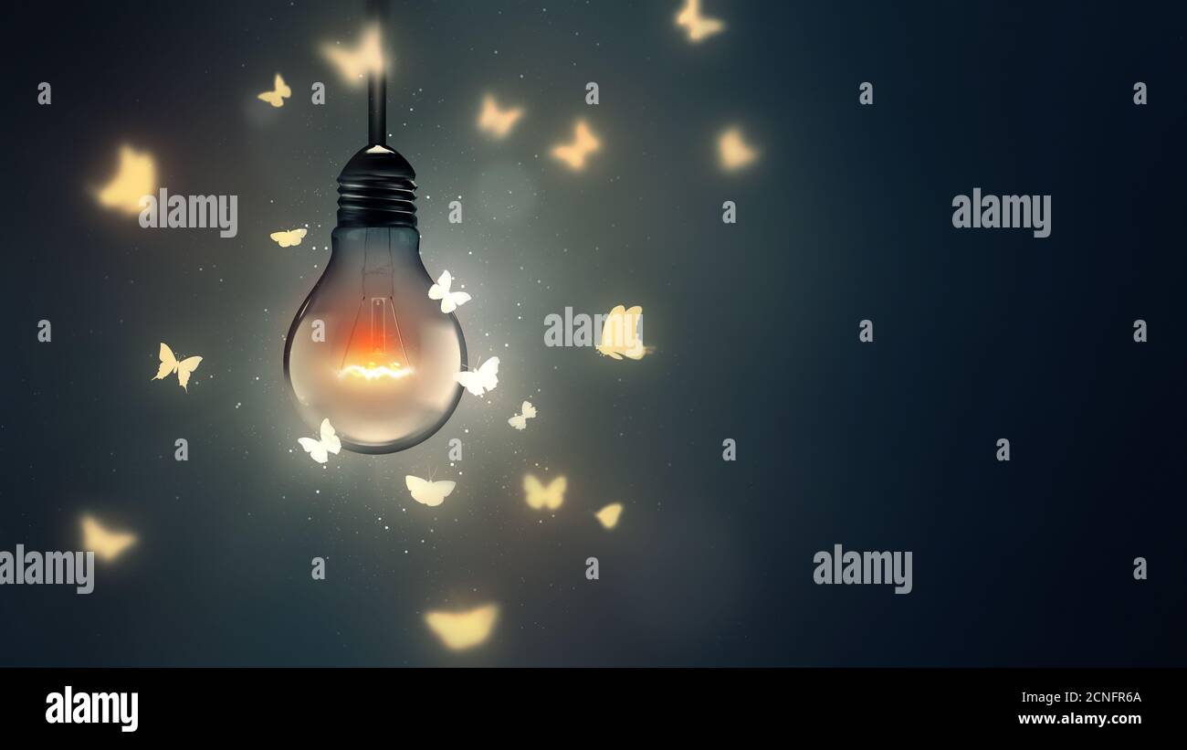 Moths flying light bulb hi-res stock photography and images - Alamy