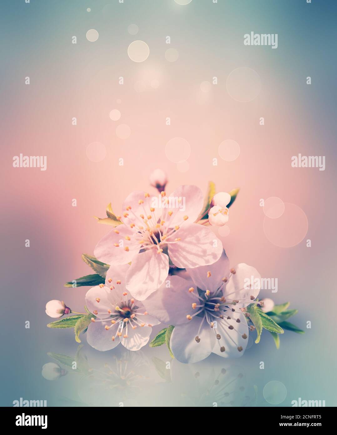 Vintage spring card hi-res stock photography and images - Alamy