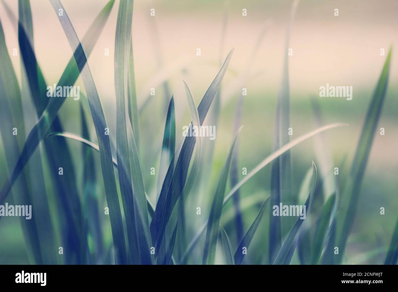 Full screen hi-res stock photography and images - Alamy