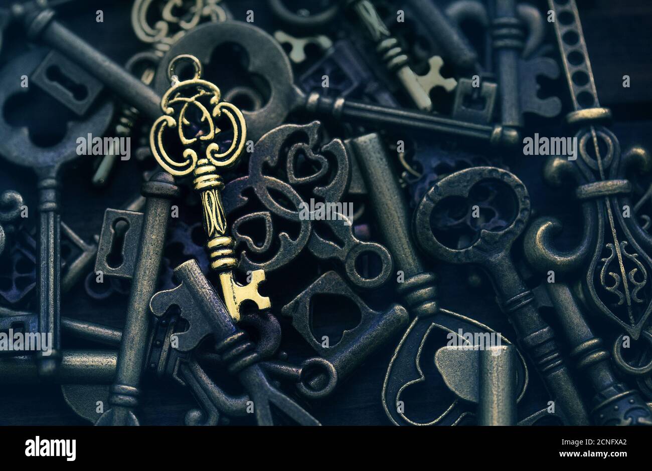 right solution concept image Stock Photo - Alamy