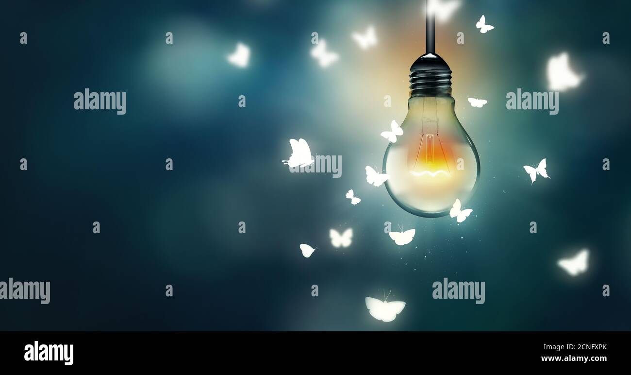 Moths flying light hi-res stock photography and images - Alamy