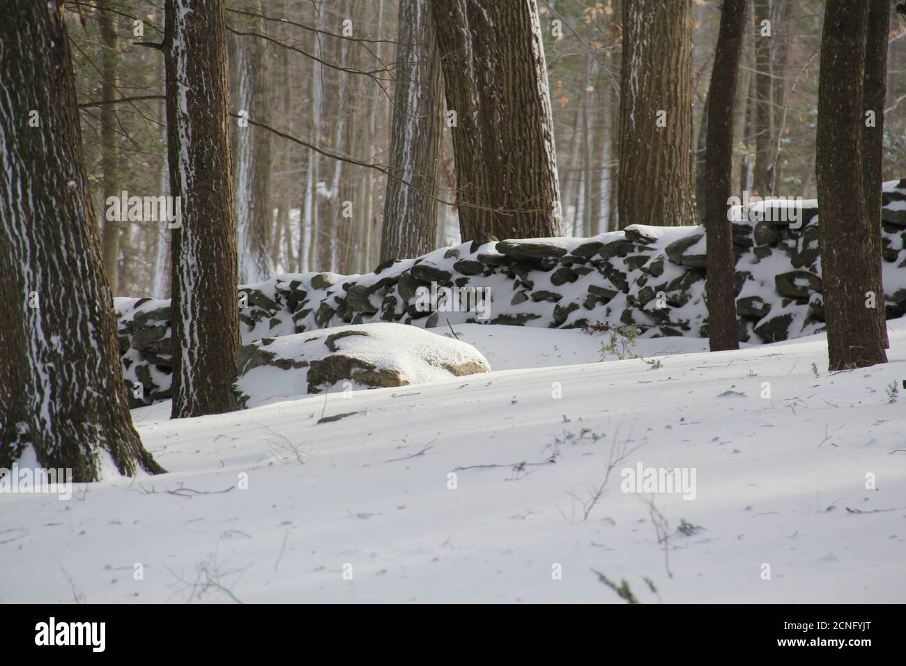 Stone wall new england forest hi-res stock photography and images - Alamy