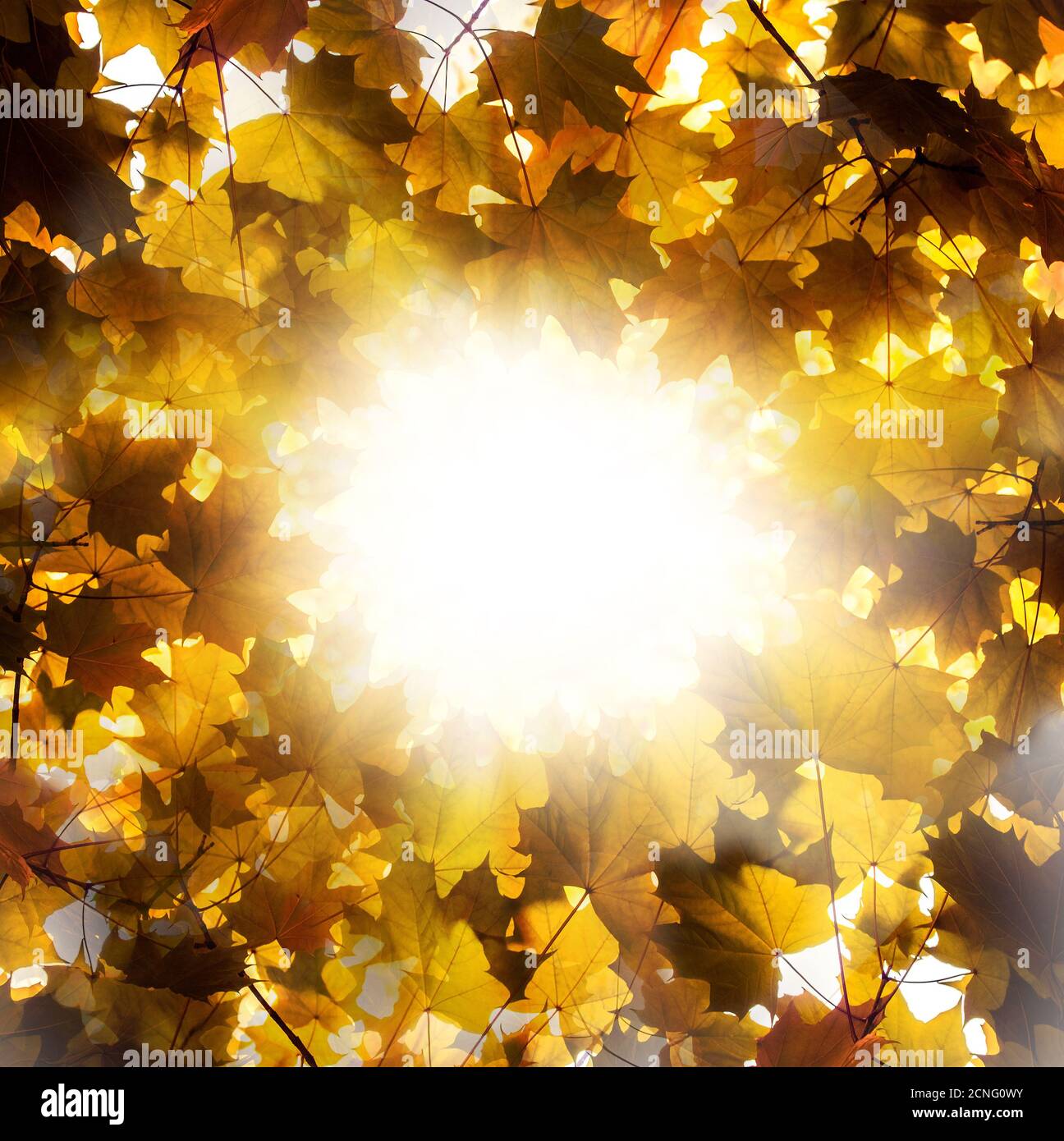 Autumn natural background hi-res stock photography and images - Alamy