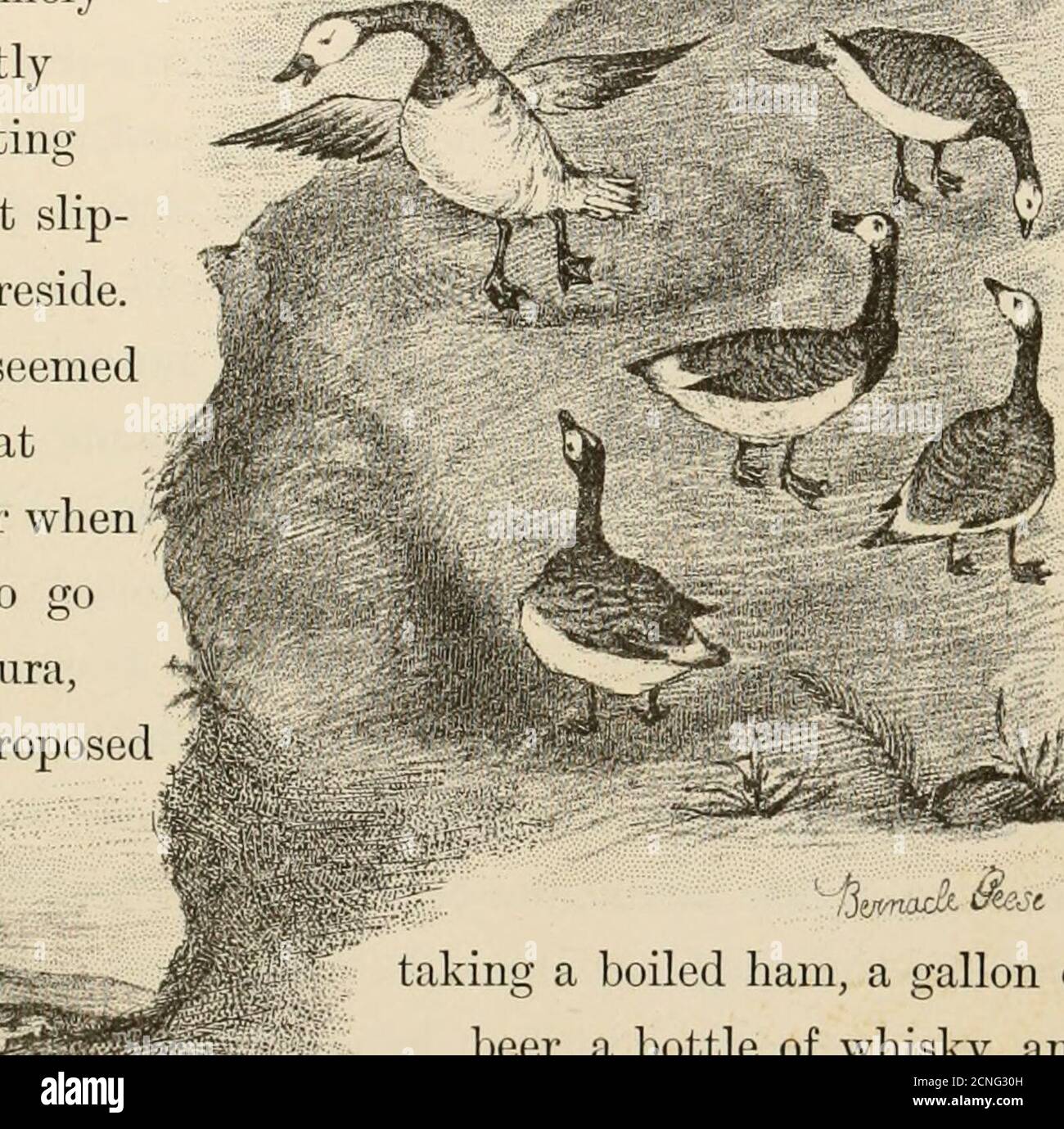 . The birds of Iona & Mull . 164 THE BIRDS OF IONA AND MULL. Deer ...