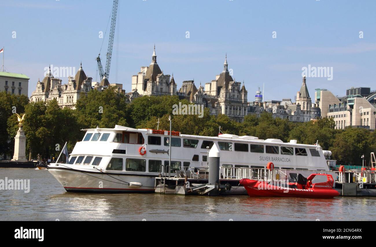 The silver barracuda hi-res stock photography and images - Alamy