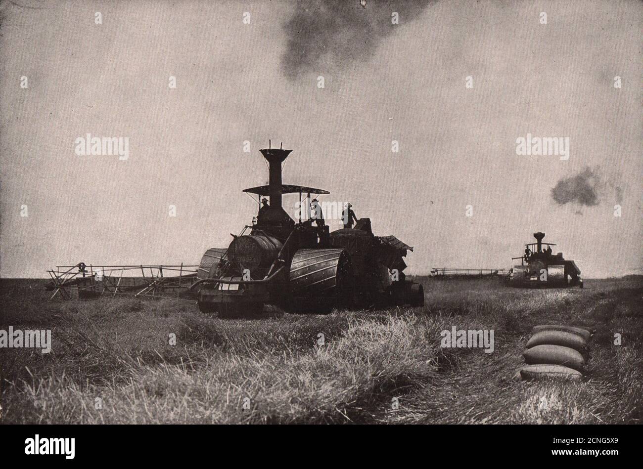 Combined Steam Harvester at Work in the Field. Farming 1903 old antique ...