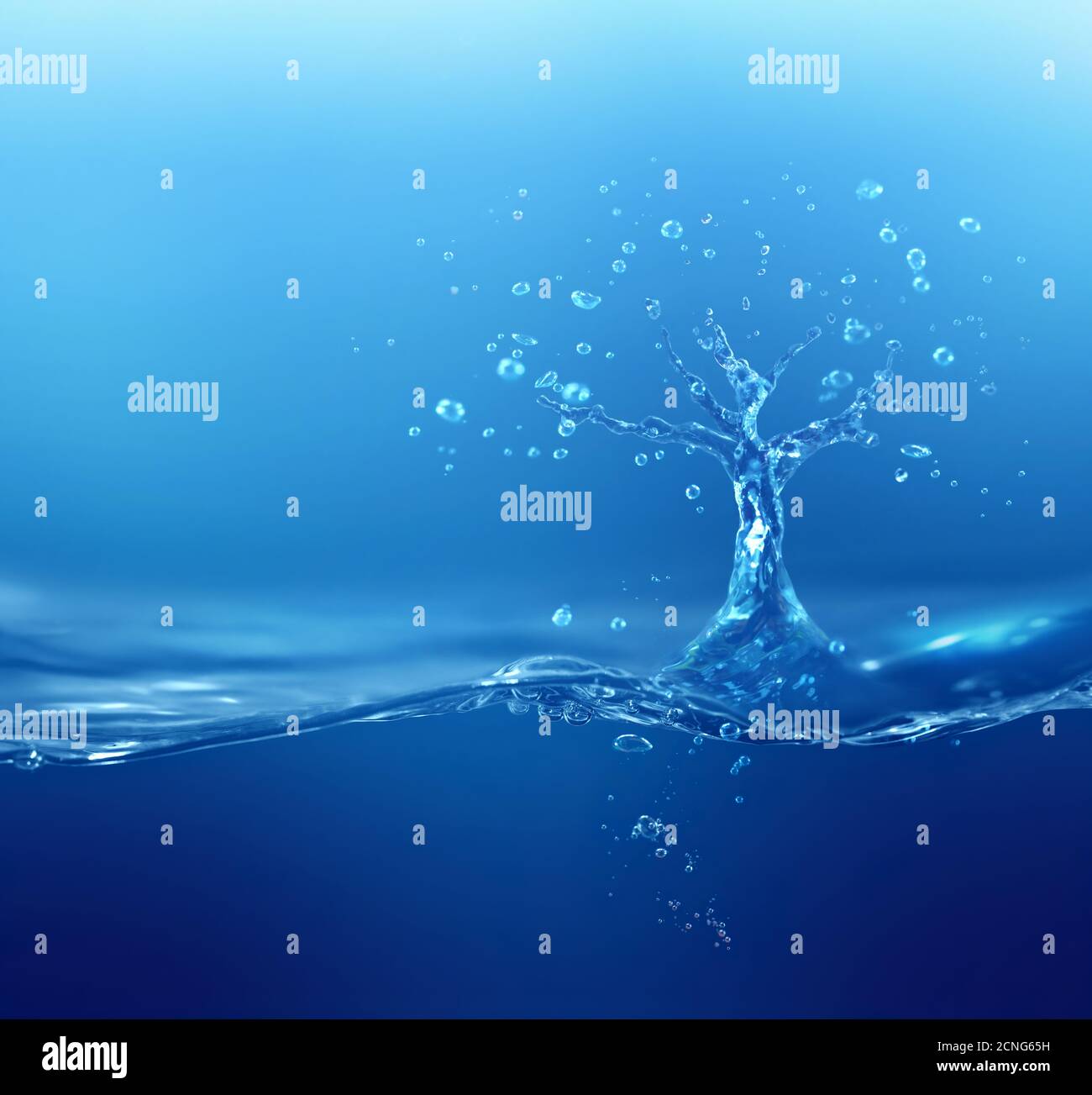 Water tree environment hi-res stock photography and images - Alamy