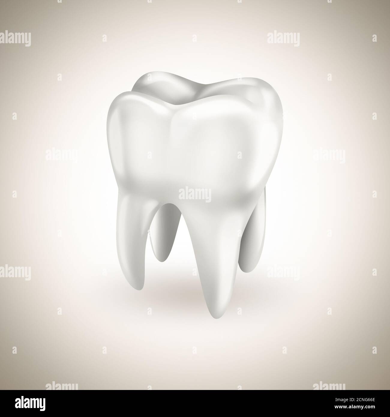 healthy white tooth Stock Photo - Alamy