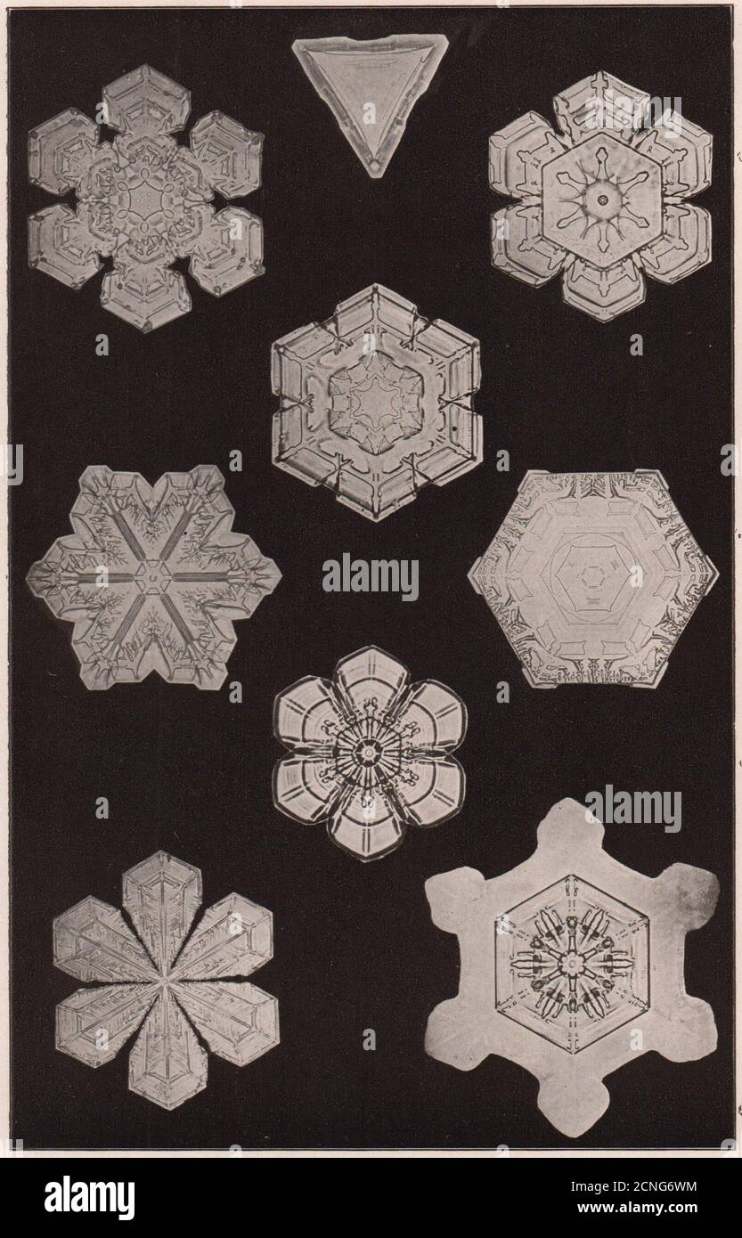 Forms of Snow Crystals (1). Science 1904 old antique vintage print ...