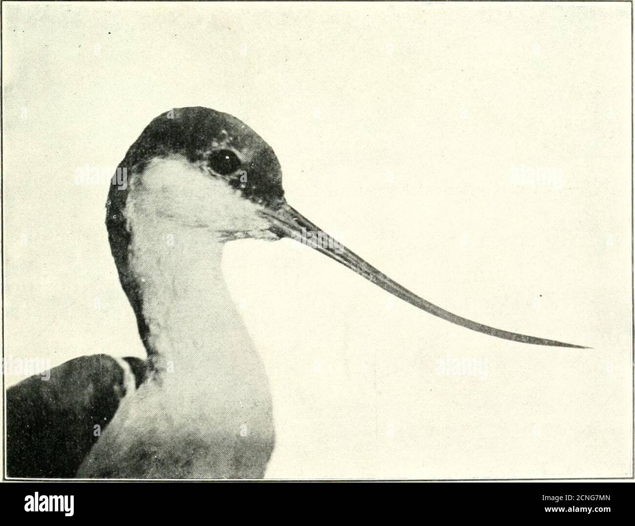 Tear catchers hi-res stock photography and images - Alamy