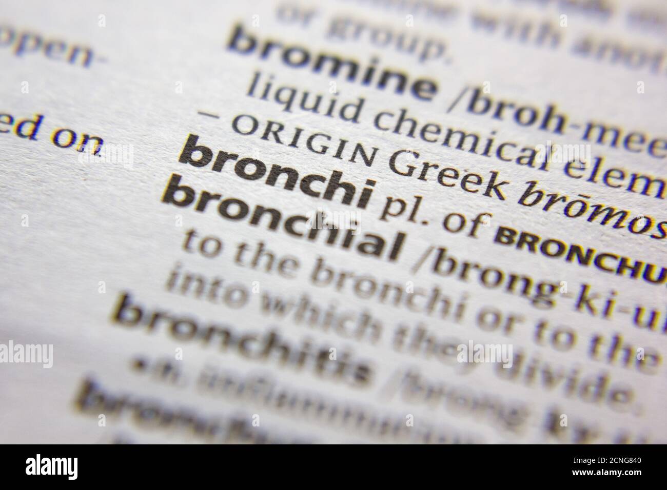 Word or phrase Bronchi in a dictionary Stock Photo - Alamy