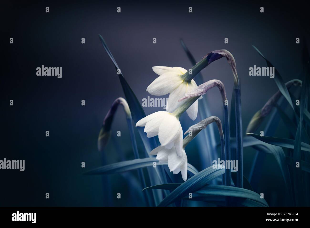 Spring season abstract hi-res stock photography and images - Alamy