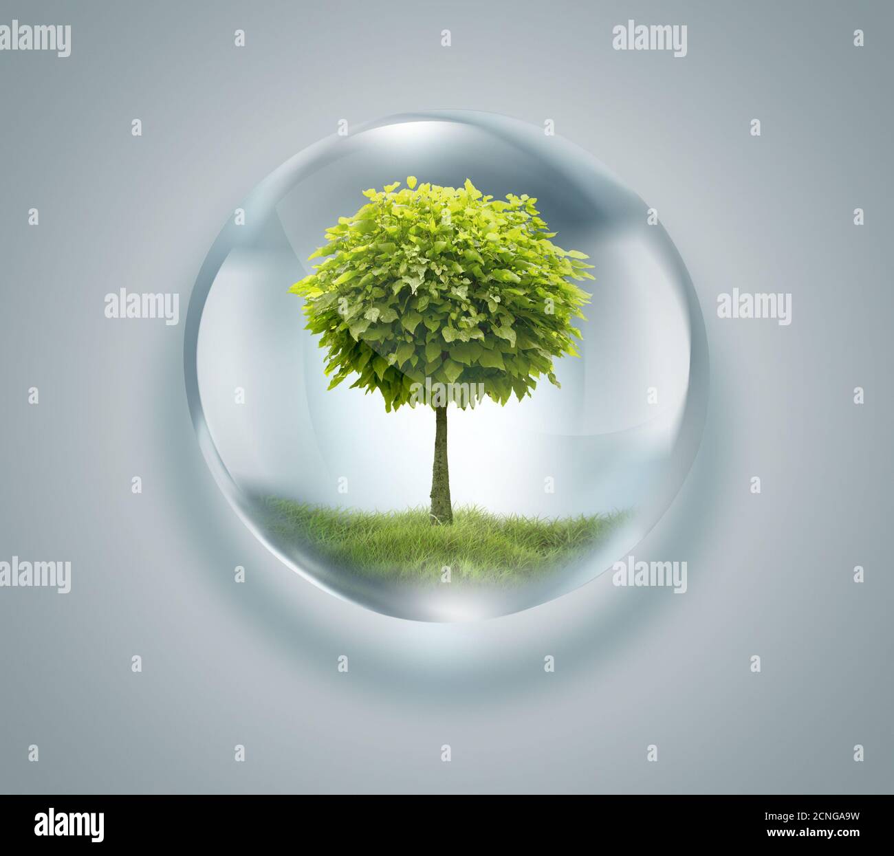 drop of water with tree inside Stock Photo - Alamy