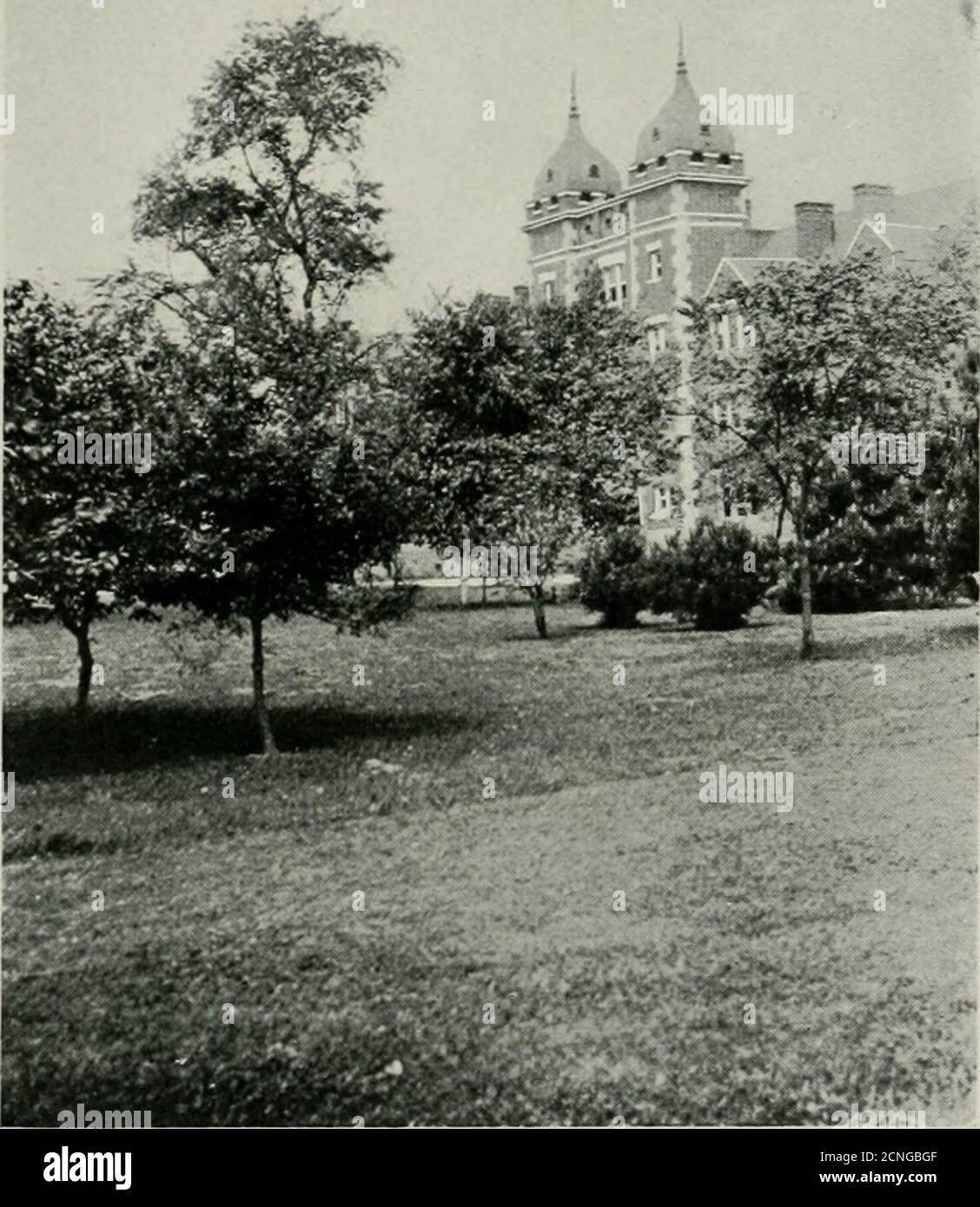 Graduation theses hi-res stock photography and images - Alamy