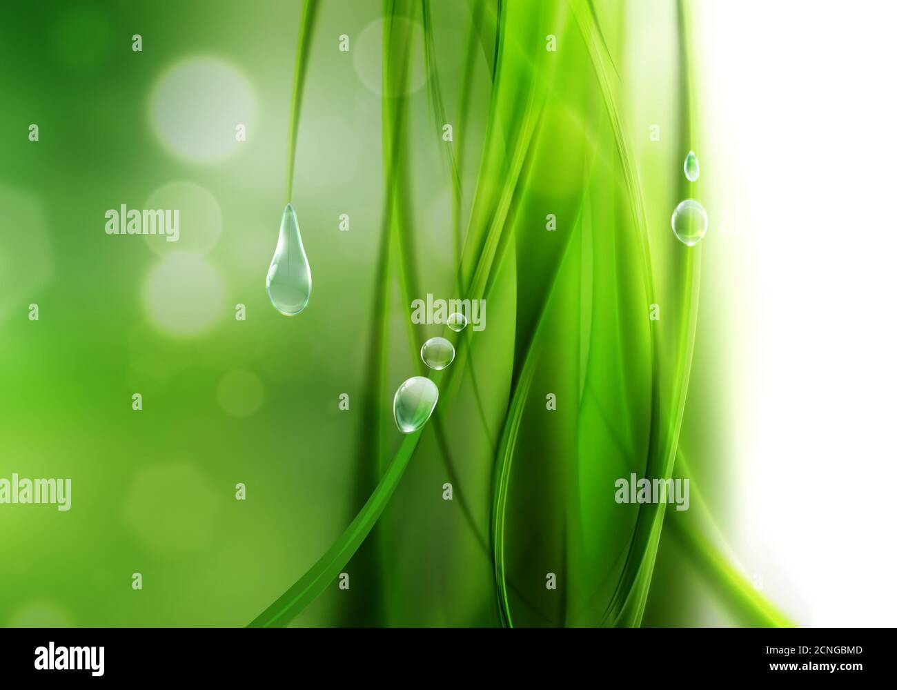 Nature is lit hi-res stock photography and images - Alamy