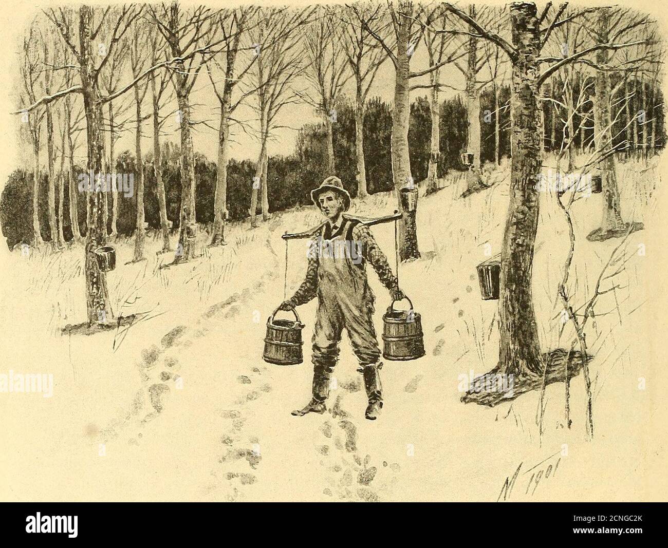 Smouldered hi-res stock photography and images - Alamy