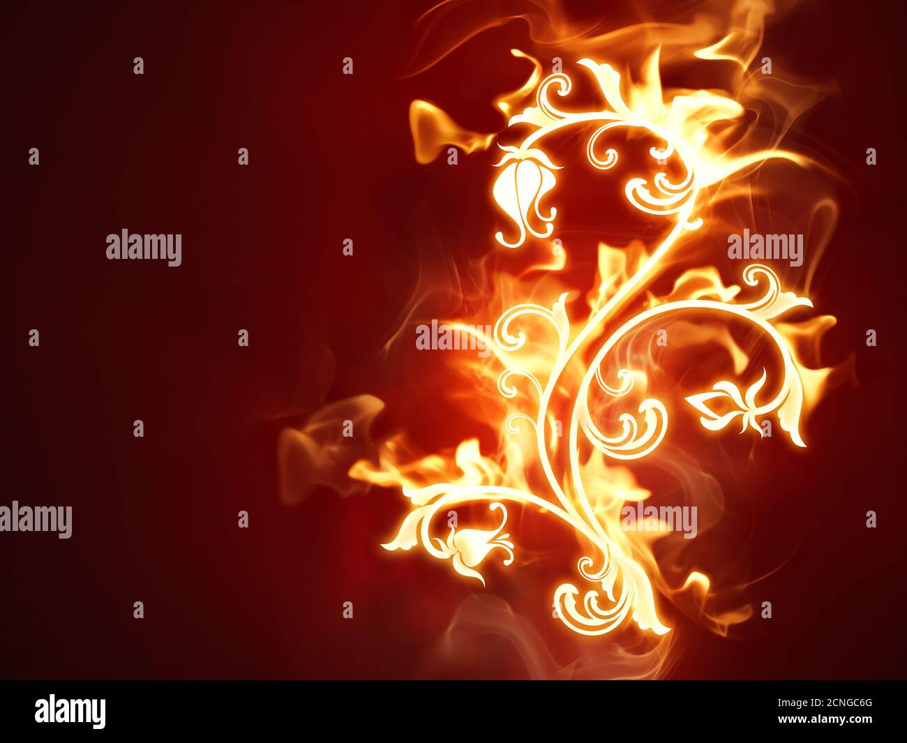 Burn Flower High Resolution Stock Photography and Images - Alamy