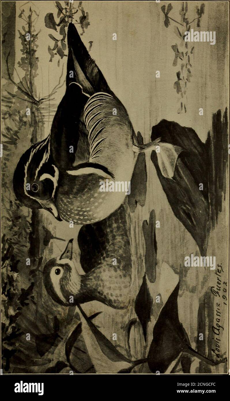 Turrell Arkansas High Resolution Stock Photography and Images - Alamy