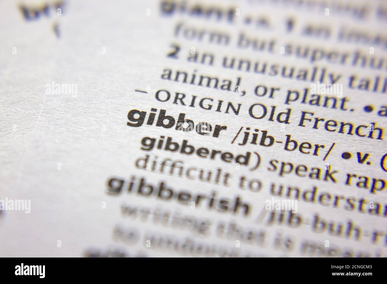 Word or phrase Gibber in a dictionary Stock Photo - Alamy
