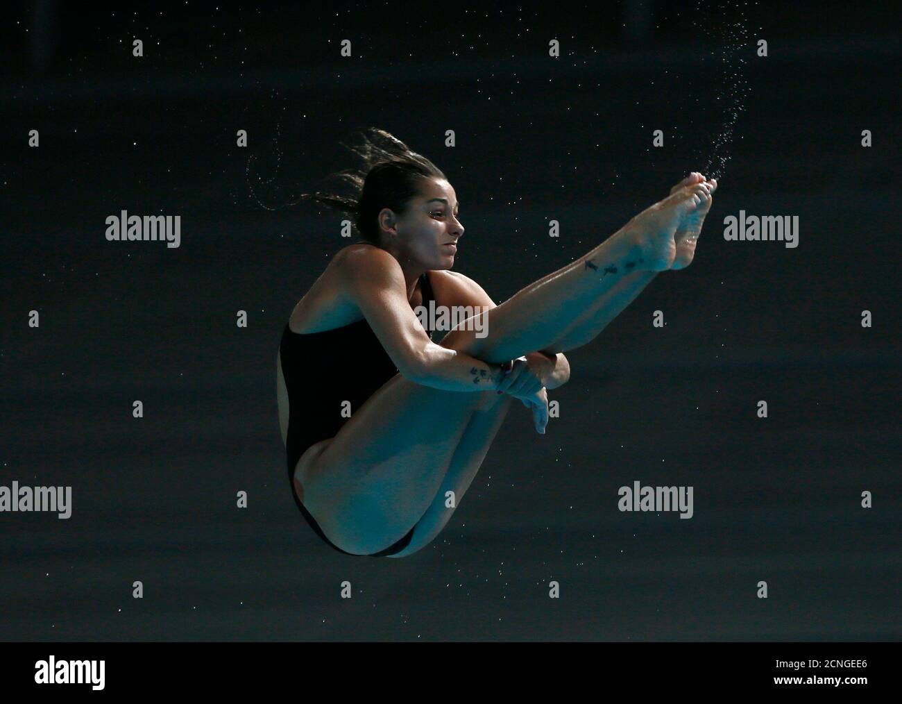 Pamela Ware High Resolution Stock Photography and Images - Alamy