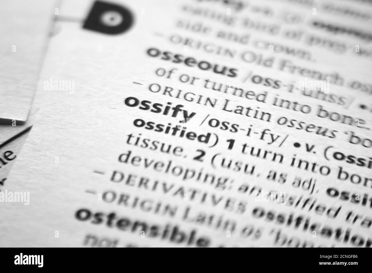Ossify Black and White Stock Photos & Images - Alamy