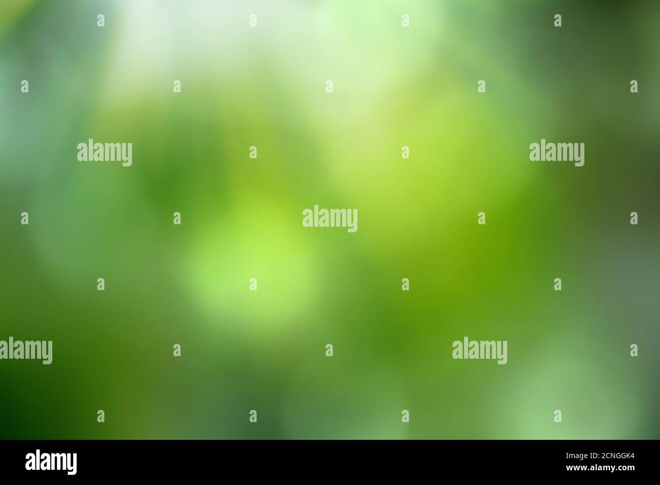 Blurred backdrop of soft hi-res stock photography and images - Alamy