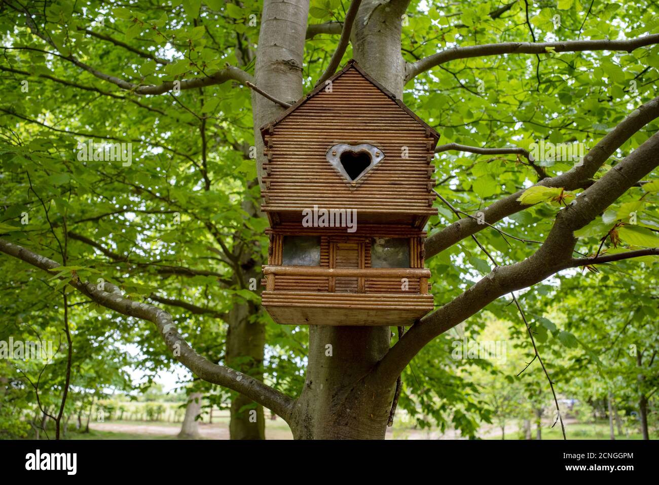 Wooden bird box hi-res stock photography and images - Alamy