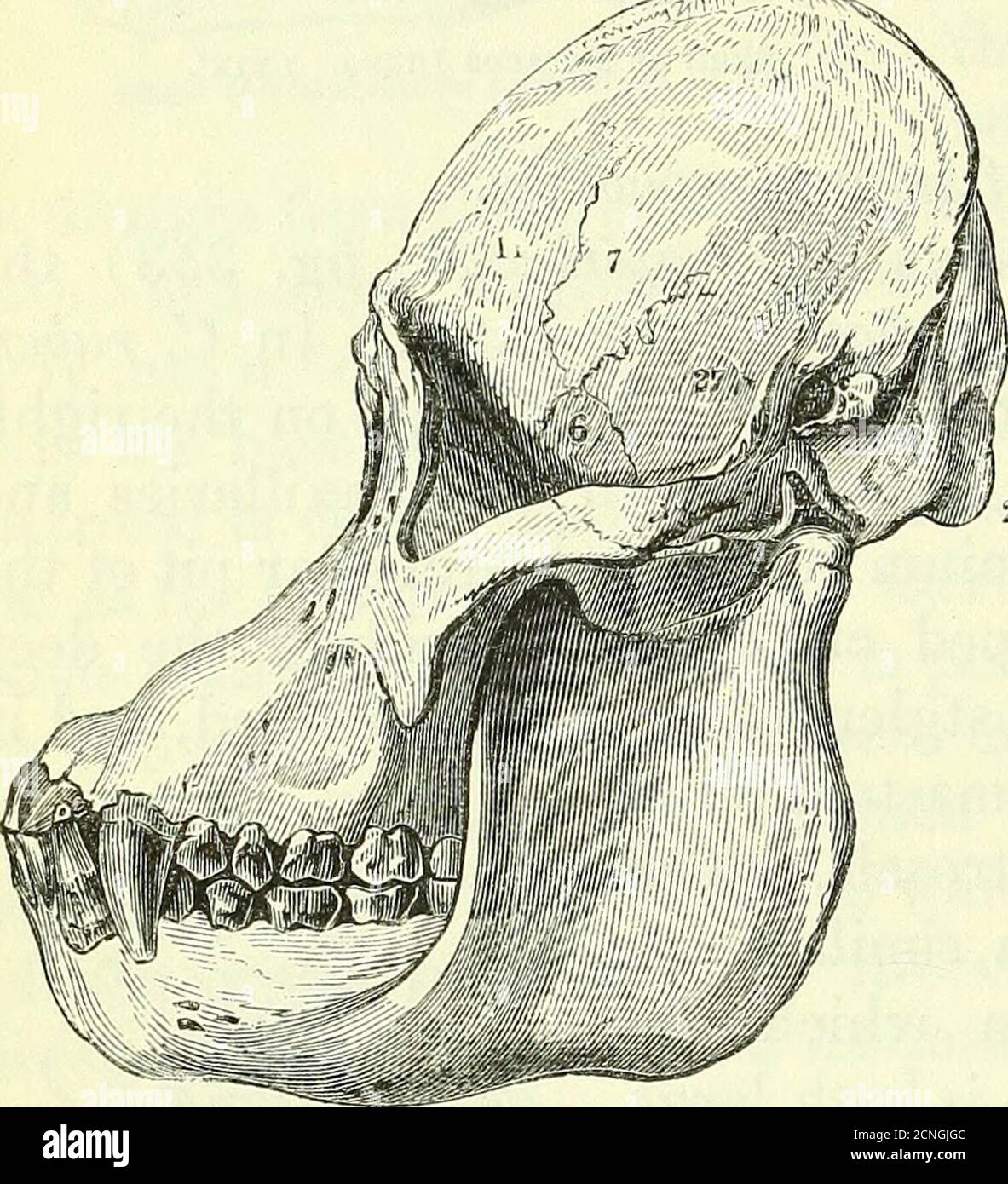 Quadrangular Space Drawing