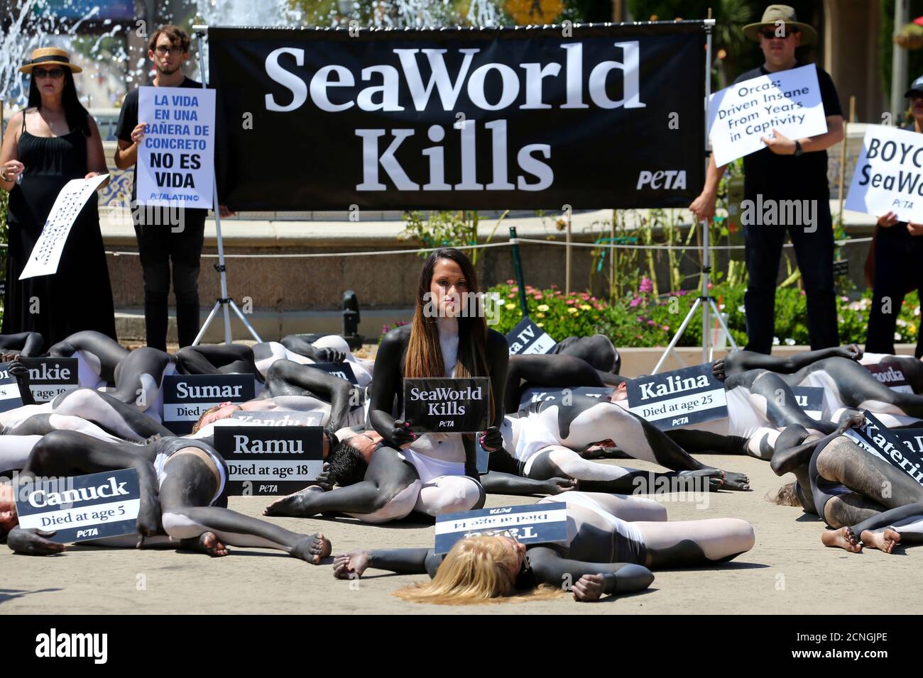 Peta activists hi-res stock photography and images - Alamy