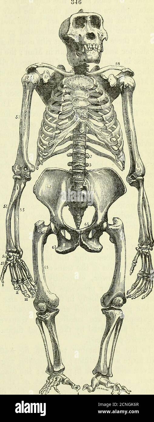 Diapo hi-res stock photography and images - Alamy