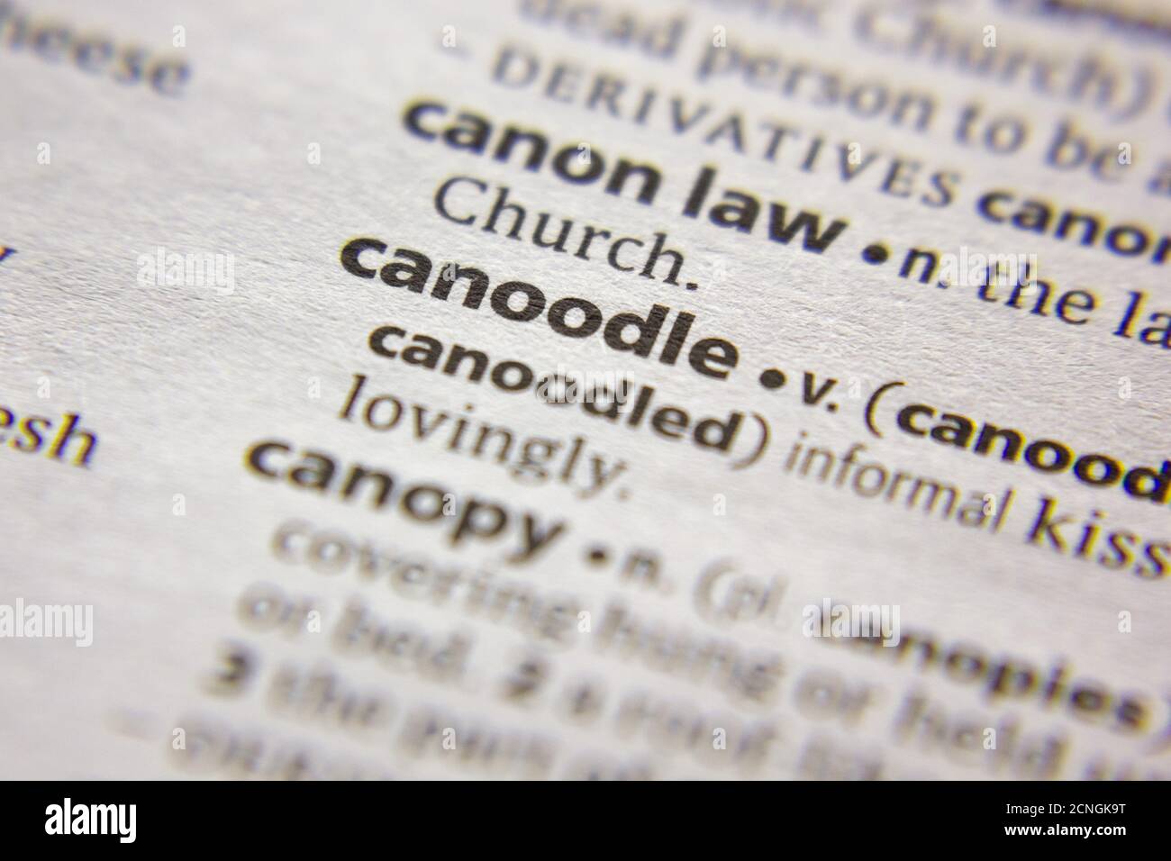 Word or phrase Canoodle in a dictionary Stock Photo - Alamy
