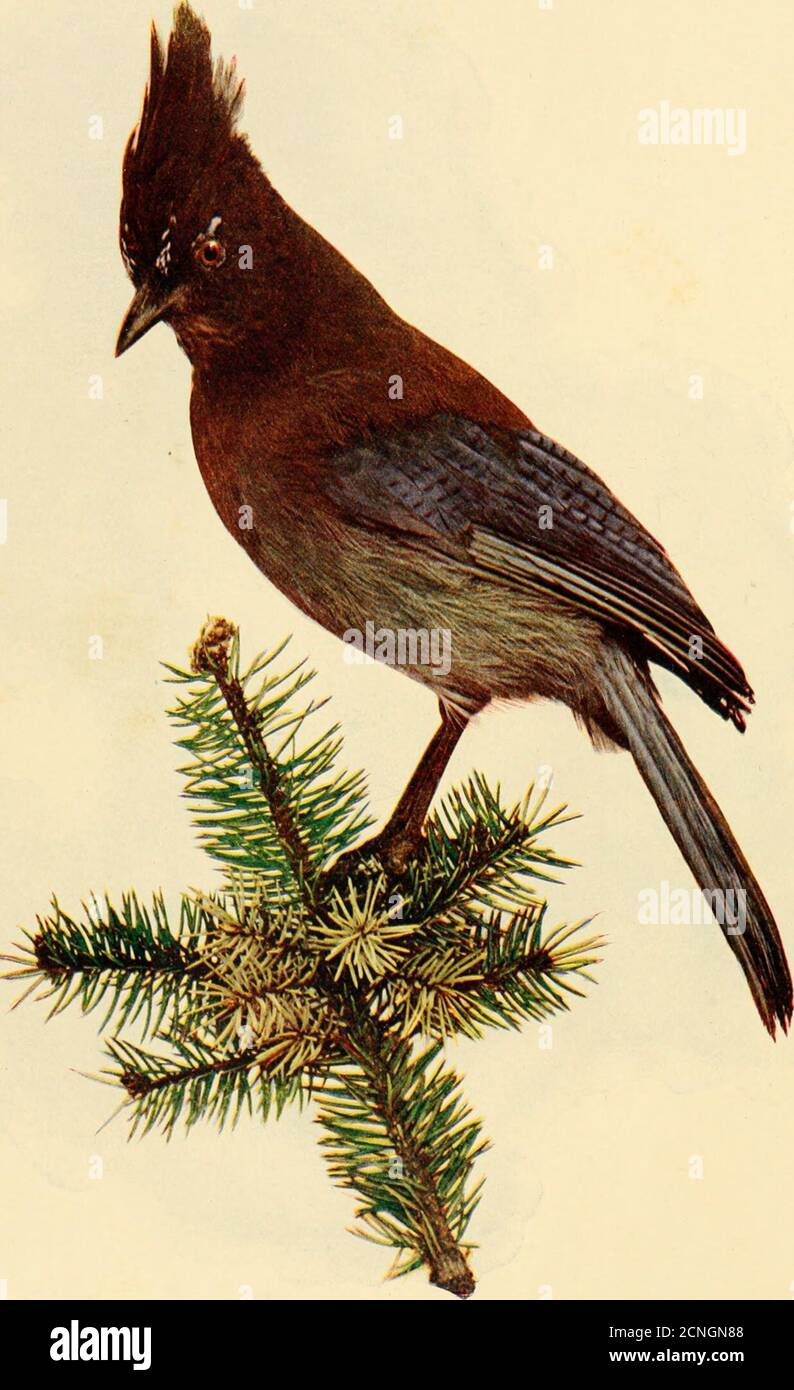 Daylighthours hi-res stock photography and images - Alamy